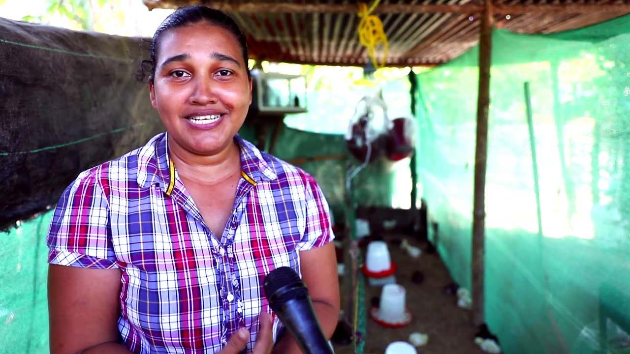 sobre la institución - AMPYME